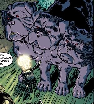 Cerberus (Kerberus | Vertigo) (Comic Book Character)