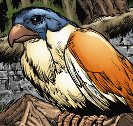 Zoar the Mystic Falcon (Falcon | Masters of the Universe) (Comic Book ...