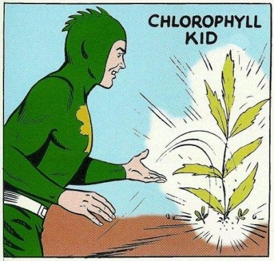 Chlorophyll Kid (Ral Benem) (Comic Book Character)