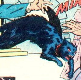 Ginger (Cat | Marvel) (Comic Book Character)